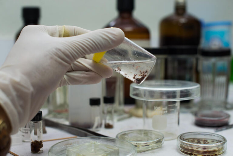 Testing For Candida Overgrowth - Candida.com