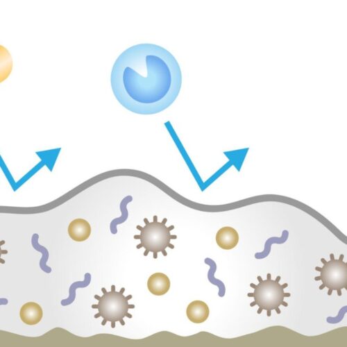 What Is Candida and How It Affects Health - Candida.com