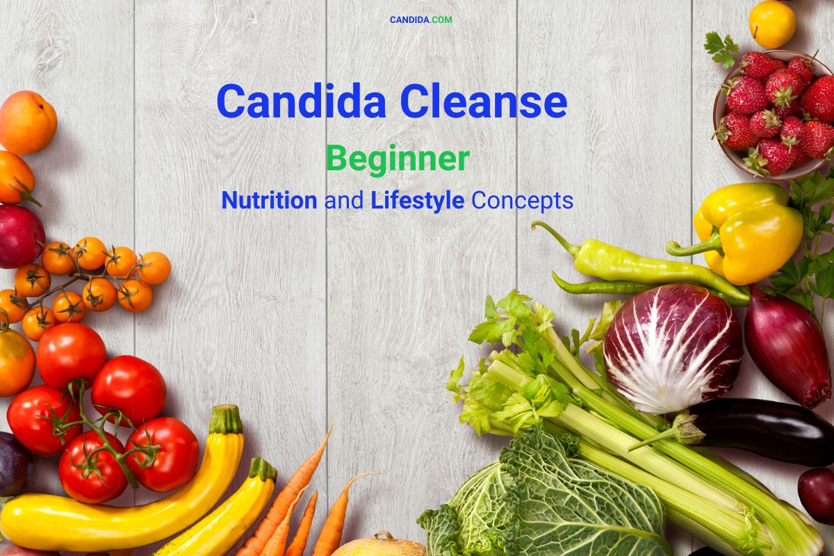 Candida Cleanse Beginner - Healthy Concepts - Candida.com