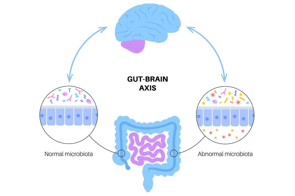 Gut Brain Axis - Candida.com