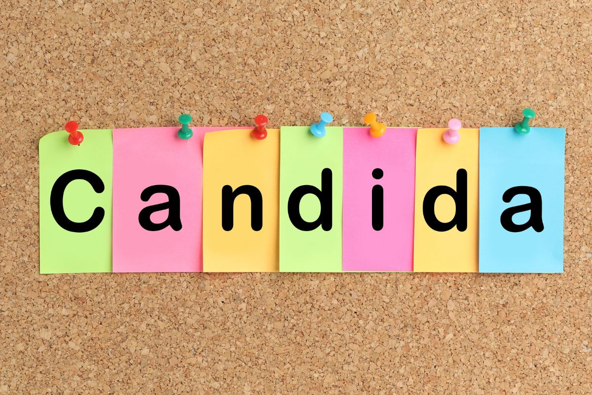 What Is Candida and How It Affects Health - Candida.com